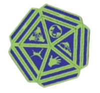 Venture Special Interest Badges – 23rd Kildare Scouts Sallins